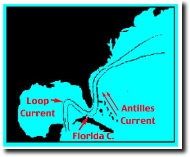 Path of the Gulf Stream